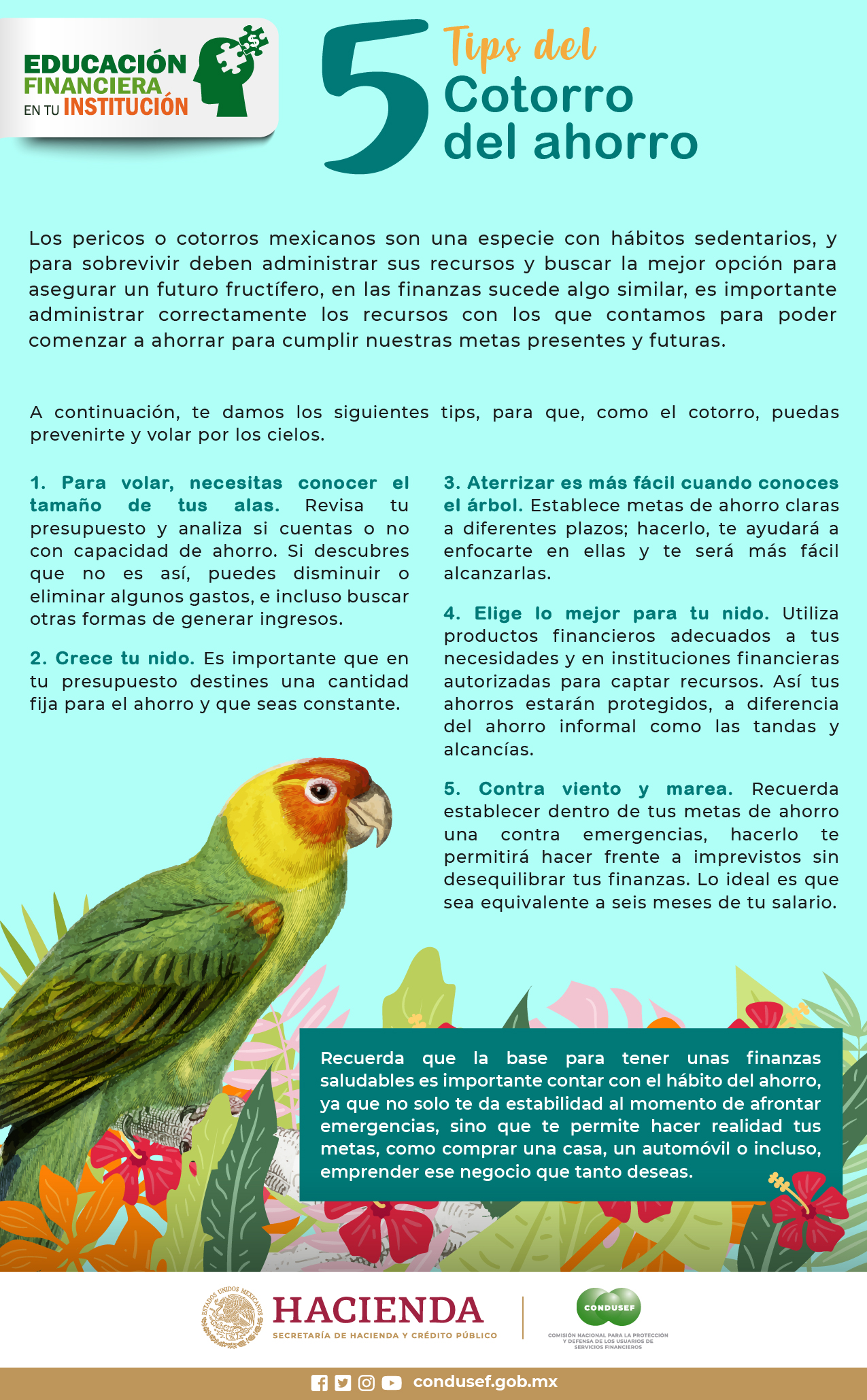 5 TIPS DEL COTORRO DEL AHORRO